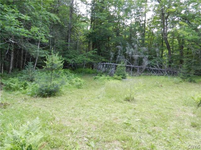 00 Bingham Mills Rd
