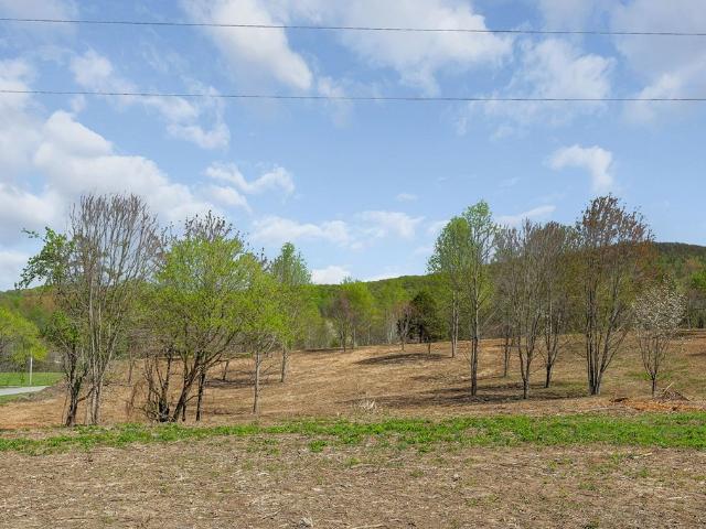 00 Big Springs Farm Lot 13, 1.02 Acre