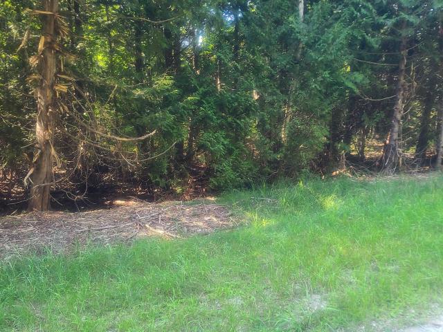 00 Birchwood Trail