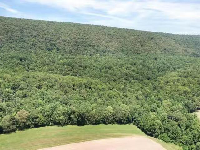 00 BLAIN ROAD, LOYSVILLE, PA 17047 Vacant Land For Sale MLS#.