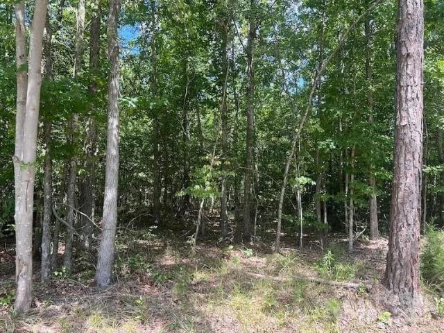 00 Blue Branch Road # Tract C