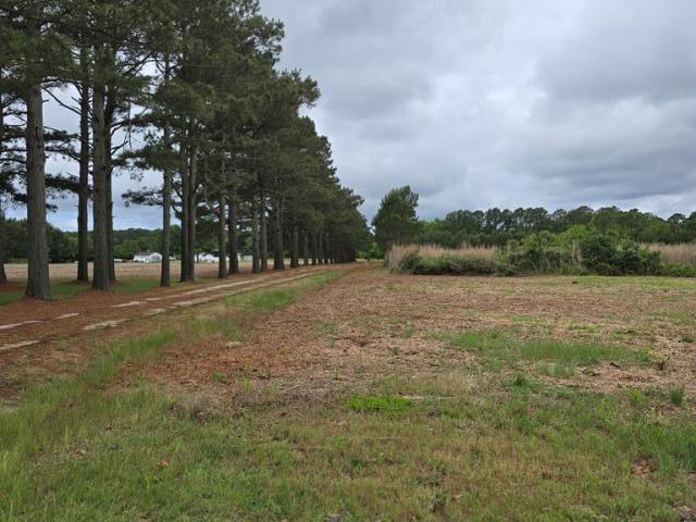 00 Bunting Point Rd