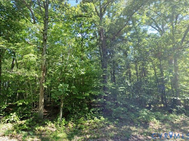00 Burkeville Road