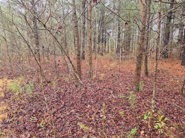 00 Calamus Pond Road