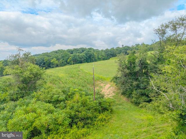 00 Carls Hill Road # PARCEL 7