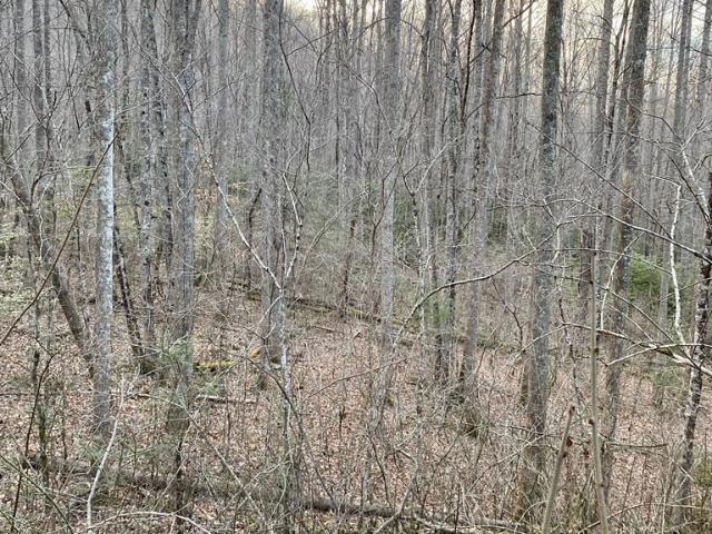 00 Carringer Road