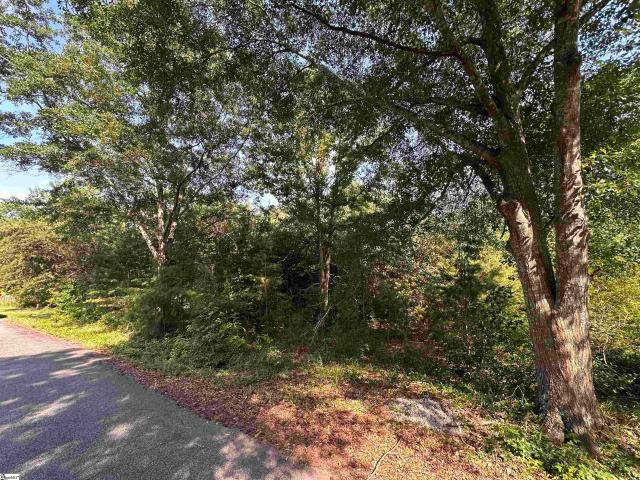 00 Carswell Drive