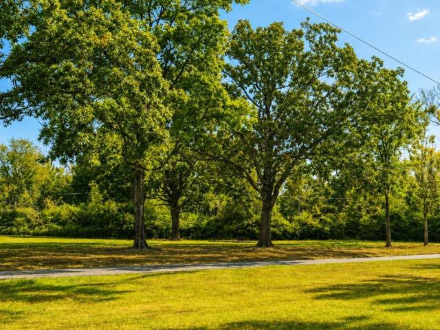 00 Cemetery Road