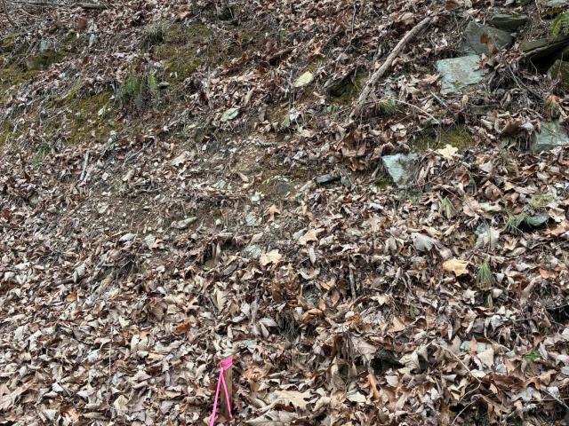 0 Chestnut Mountain Road