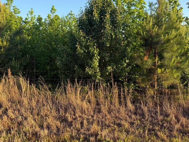 00 Co Rd 106