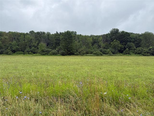 00 County Route 91