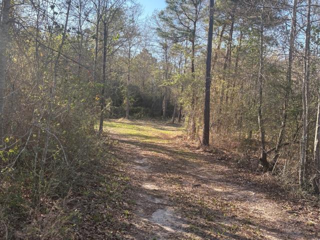 00 county road 4180