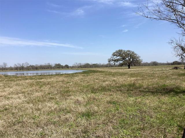 00 County Road 42, Rosharon, US, TX