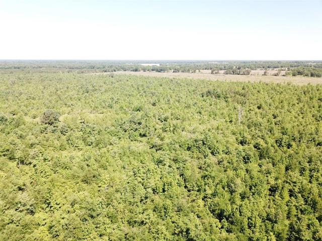 00 County Road 4308