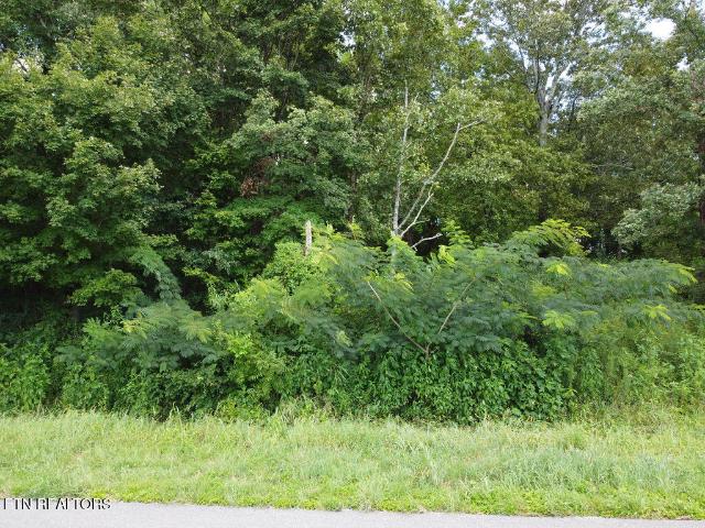 00 County Road 436