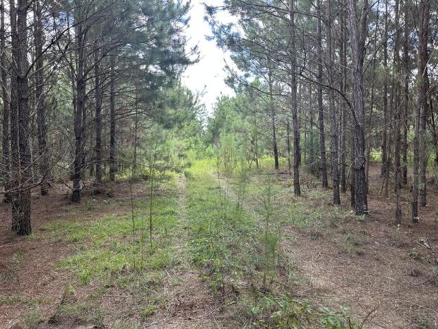 00 County Road 61