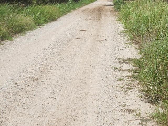 00 County Road 654