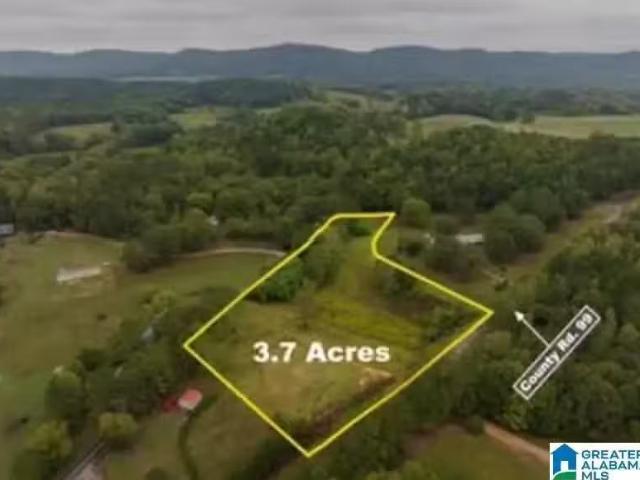 00 COUNTY ROAD 99 # 0, GAYLESVILLE, AL 35973 Vacant Land For S.