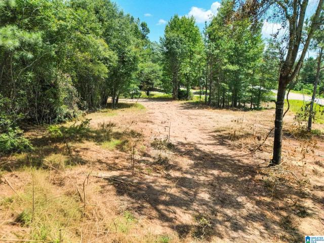 00 County Road 121 # 8