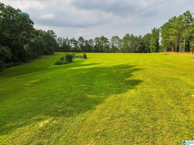 00 County Road 133 # Lot 2