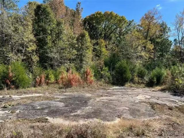 00 COUNTY ROAD 14 ROAD, EQUALITY, AL 36026 Vacant Land For Sal.