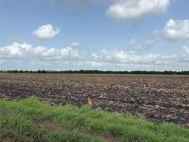 00 County Road 226
