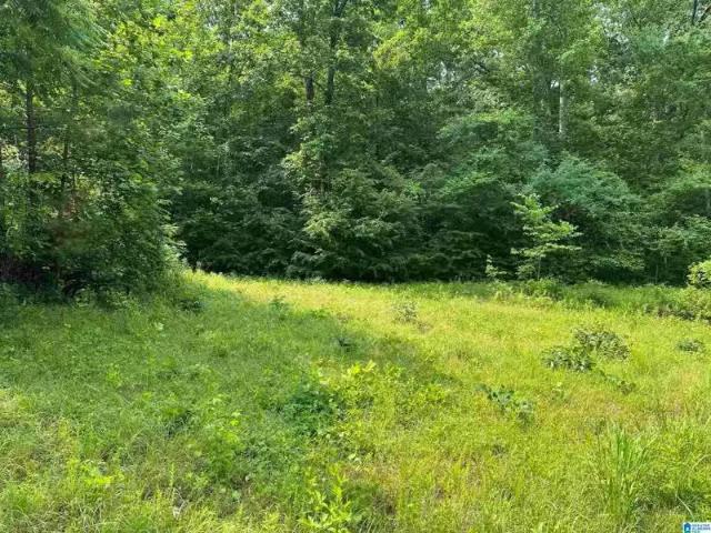00 COUNTY ROAD 25 # NA, HEFLIN, AL 36264