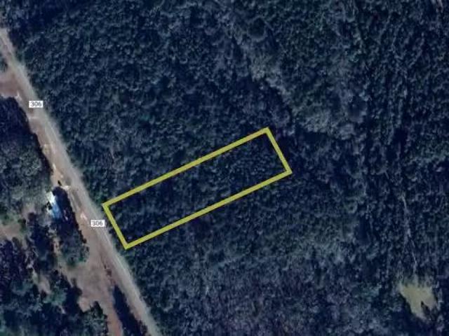 00 COUNTY ROAD # 306, ELBA, AL 36323 Single Family Residence F.