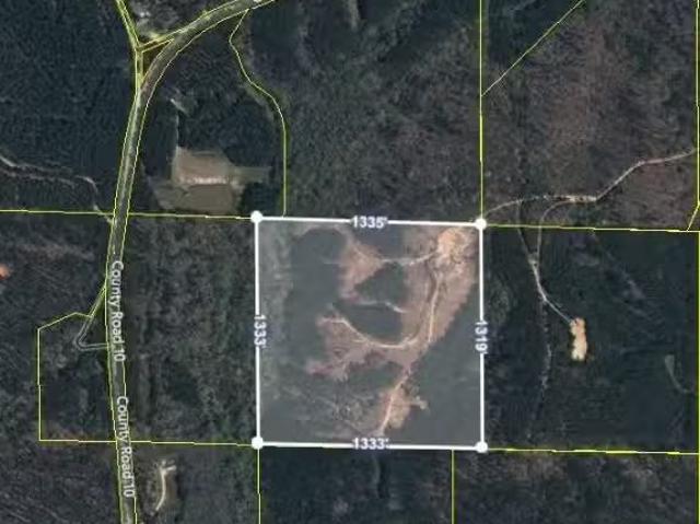 00 COUNTY RD. 10, MILLPORT, AL 35576