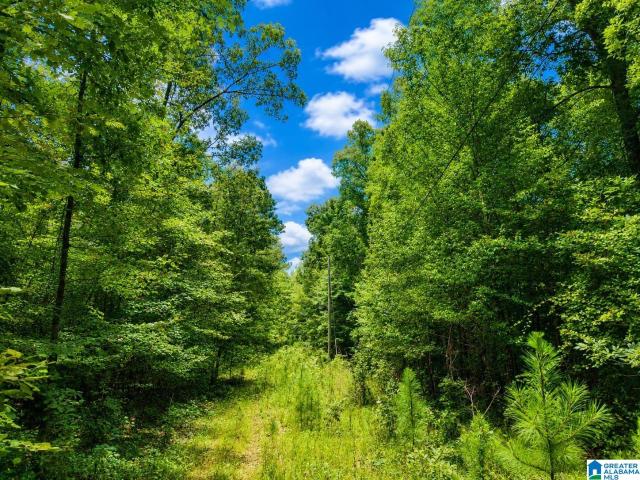 00 Creek Road # x