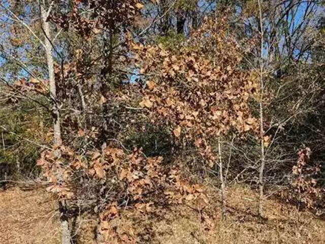 00 DAKOTA CIRCLE, MABANK, TX 75156 Vacant Land For Sale MLS#.