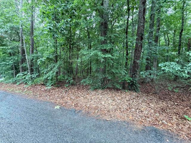 00 Davidson Cir
