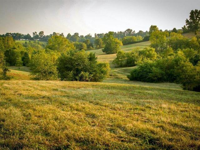 00 Deer Chase Road # Tract 15