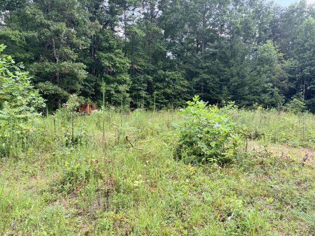 00 Doe Creek Loop