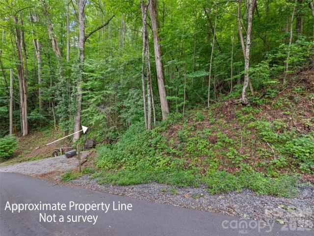 00 Dogwood Trail # 21&22