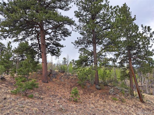 00 Dog Soldier Trail