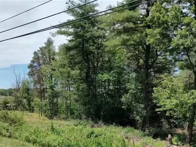 00 DRYDEN STATE ROUTE 13 ROAD, DRYDEN, NY 13053 Single Famil.