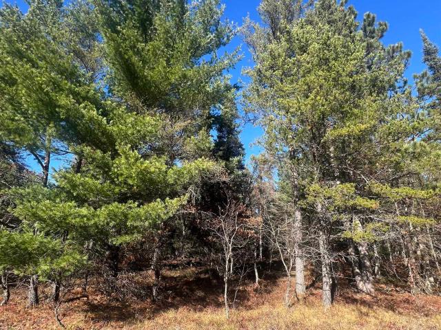 00 E North Down River Road # Lot 363
