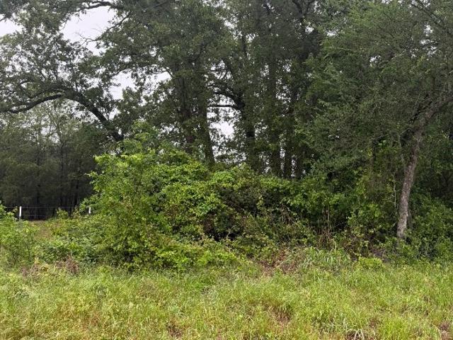 00 E Hwy 164