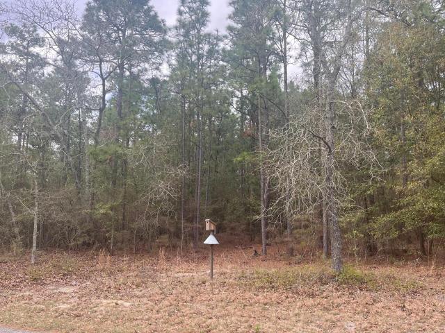 00 Edisto Lake Road