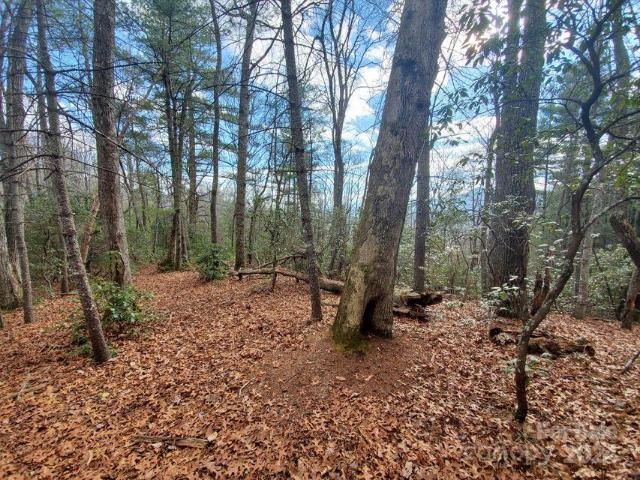 00 Elkins Road # 20
