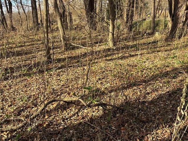 00 Faussett Road