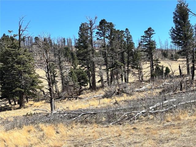 00 Forbes Park Rd