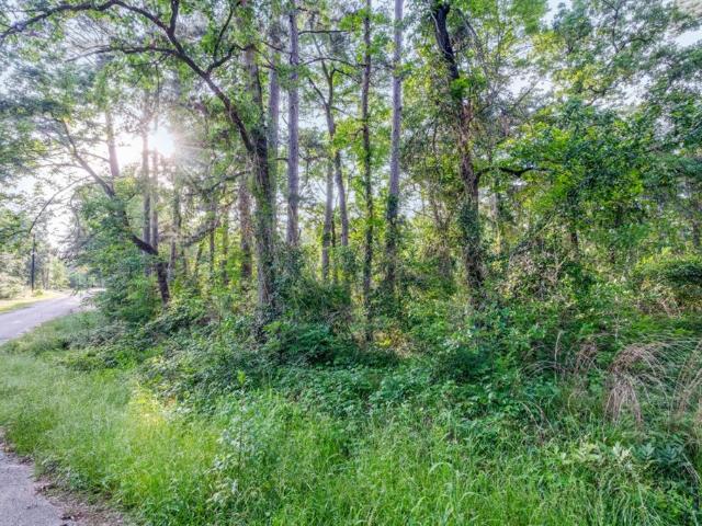 00 Forest Hill Drive