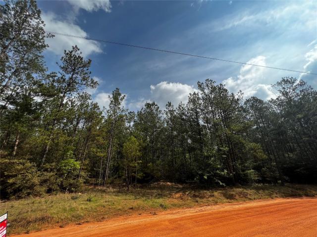 00 Forest Valley Drive