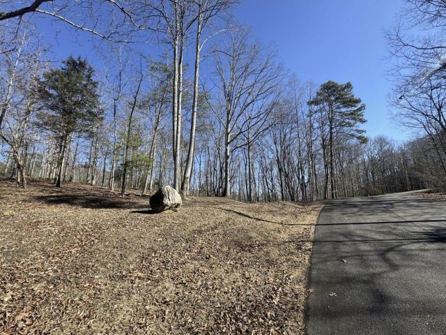 00 Fox Trail Drive