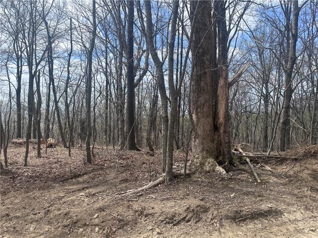 00 Flintrock Knob Lane