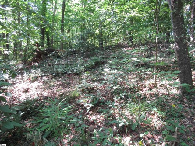 00 Gauley Falls Road # Lot 13 Gauley Falls