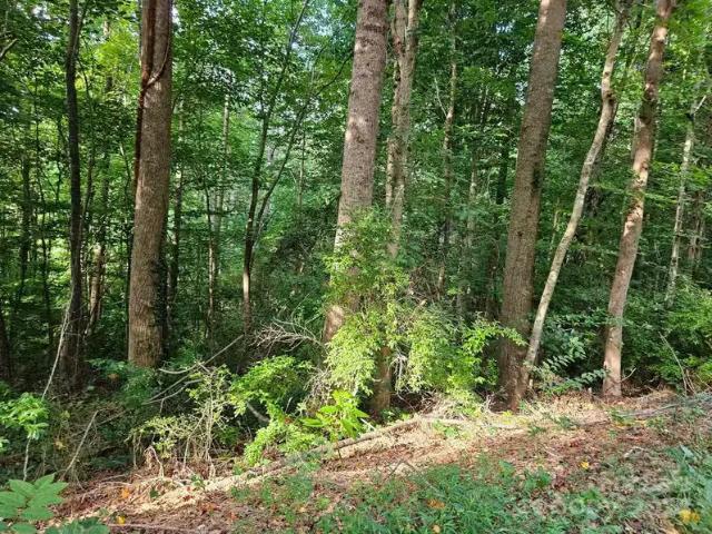 00 General Griffith Circle #31, Rutherfordton, NC 28139 MLS.