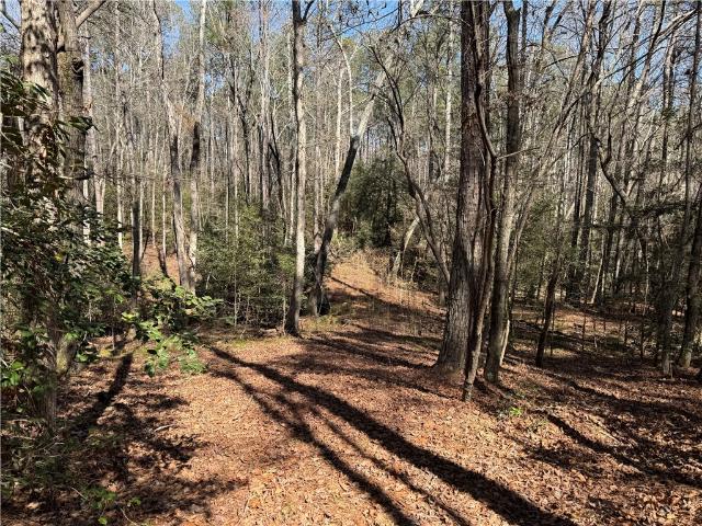 00 Golden Hickory Drive